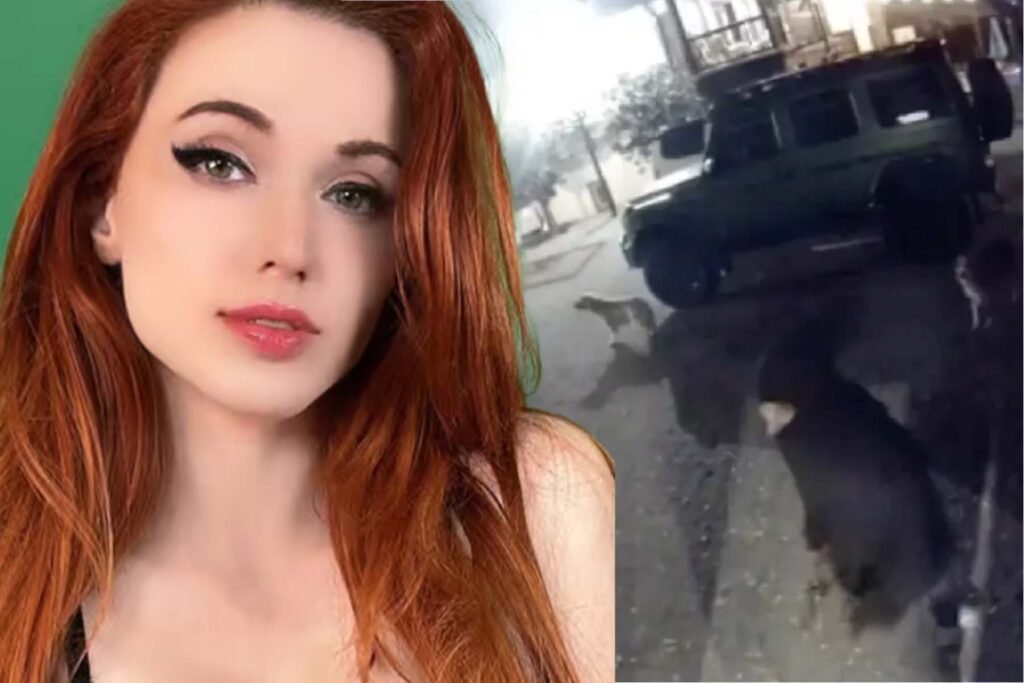 After Flaunting Her $40M Fortune, Amouranth Was Targeted in a Home ...